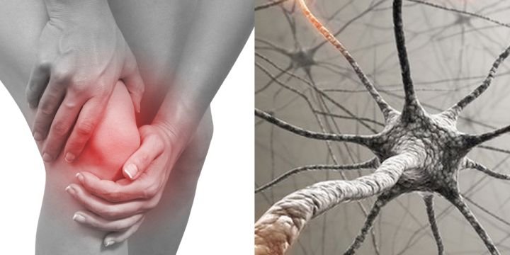 Nociceptive and neuropathic pain | DM Acupuncture